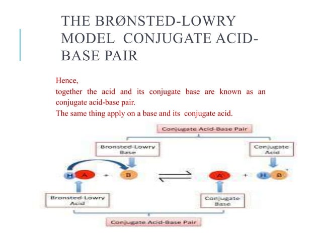 Bronsted lowry acid and base | PPT | Chemistry | Science