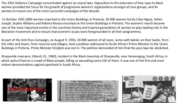 Bronwynne Lekay Human Rights.pptx