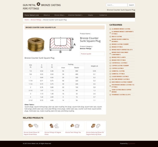 Bronze counter sunk square plug | PPT