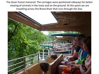 Bronz Zoo Slides | PPT