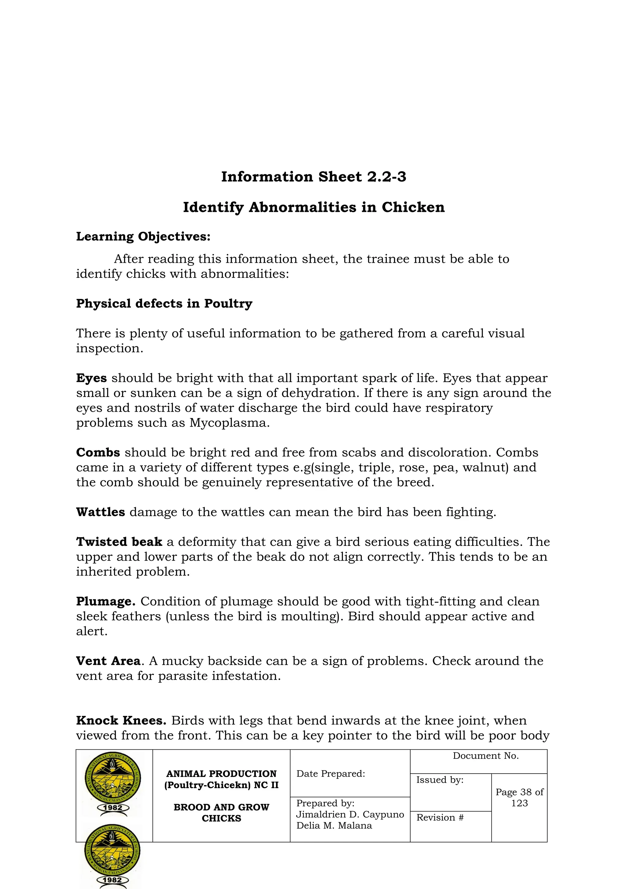 Brood and Grow Chicks for poultry chicken .doc