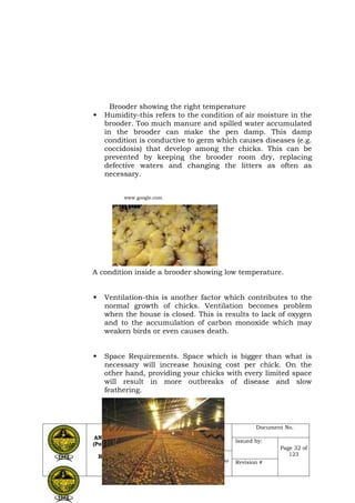 Brood and Grow Chicks for poultry chicken .doc