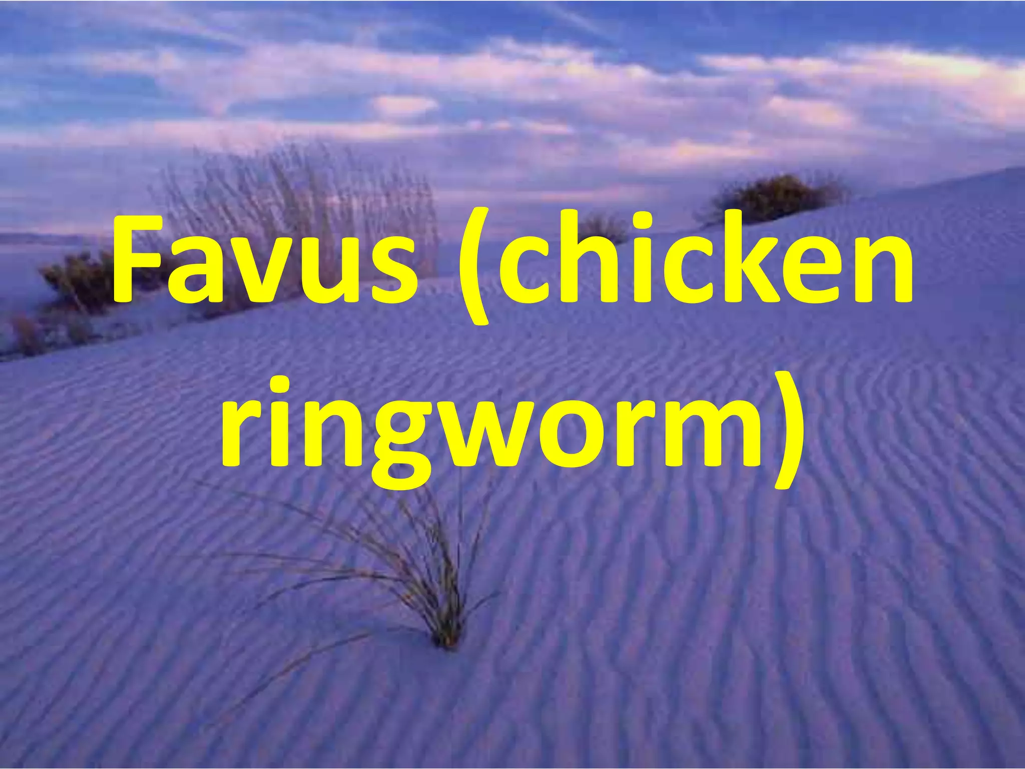 Brooder Pneumonia.ppt