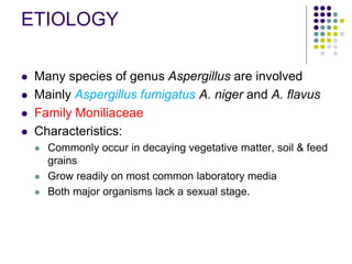 Brooder Pneumonia.ppt