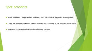 Brooding in Broiler birds | PPTX