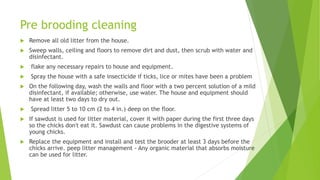 Brooding in Broiler birds | PPTX