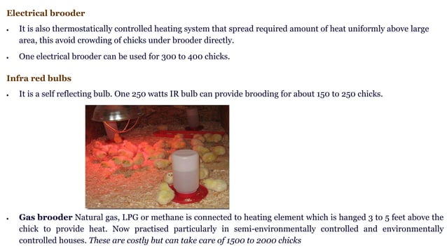 brooding of poultry eggs,Hatching of eggs.pptx