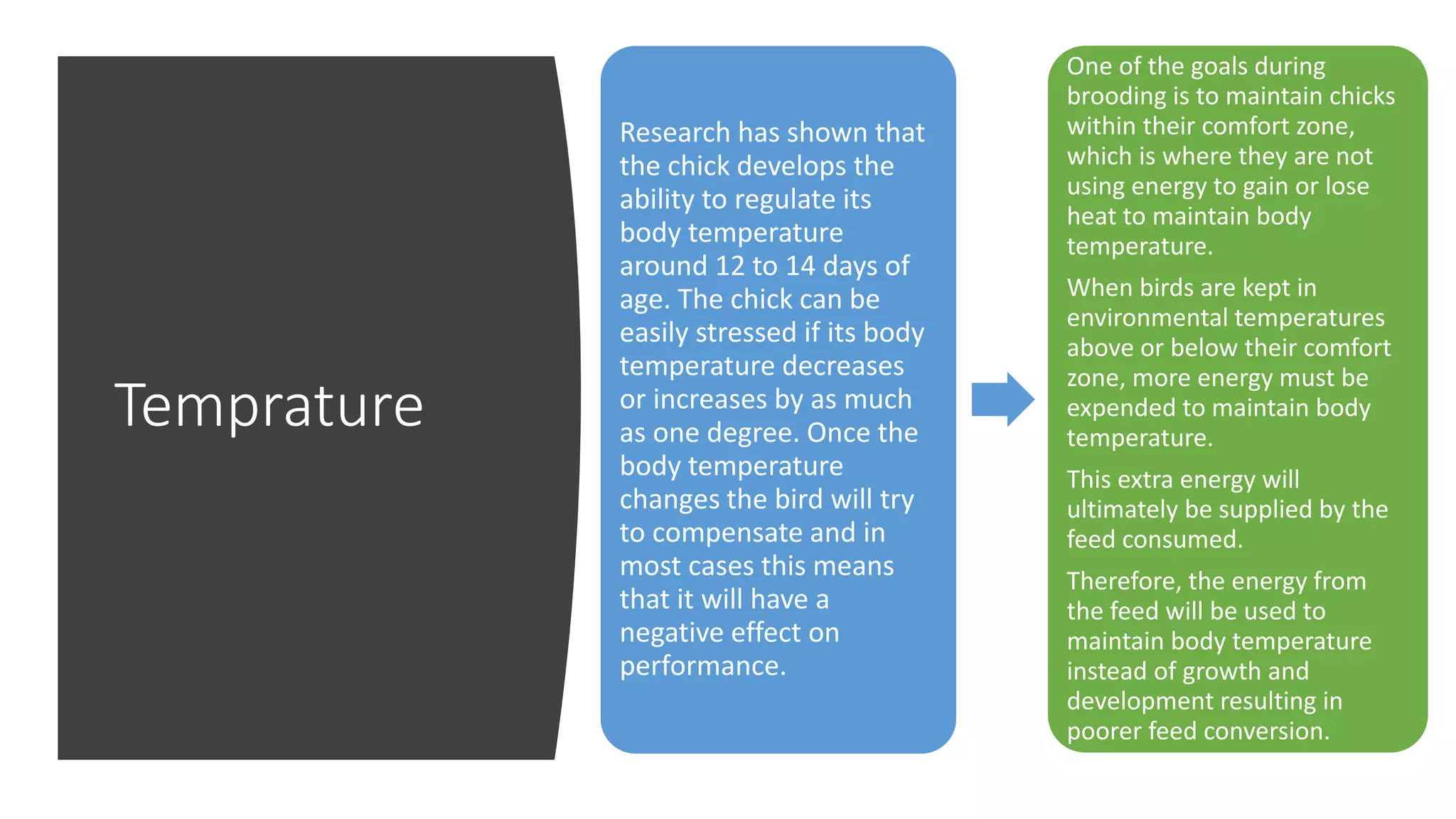 Broiler Brooding - 7day weight | PPTX