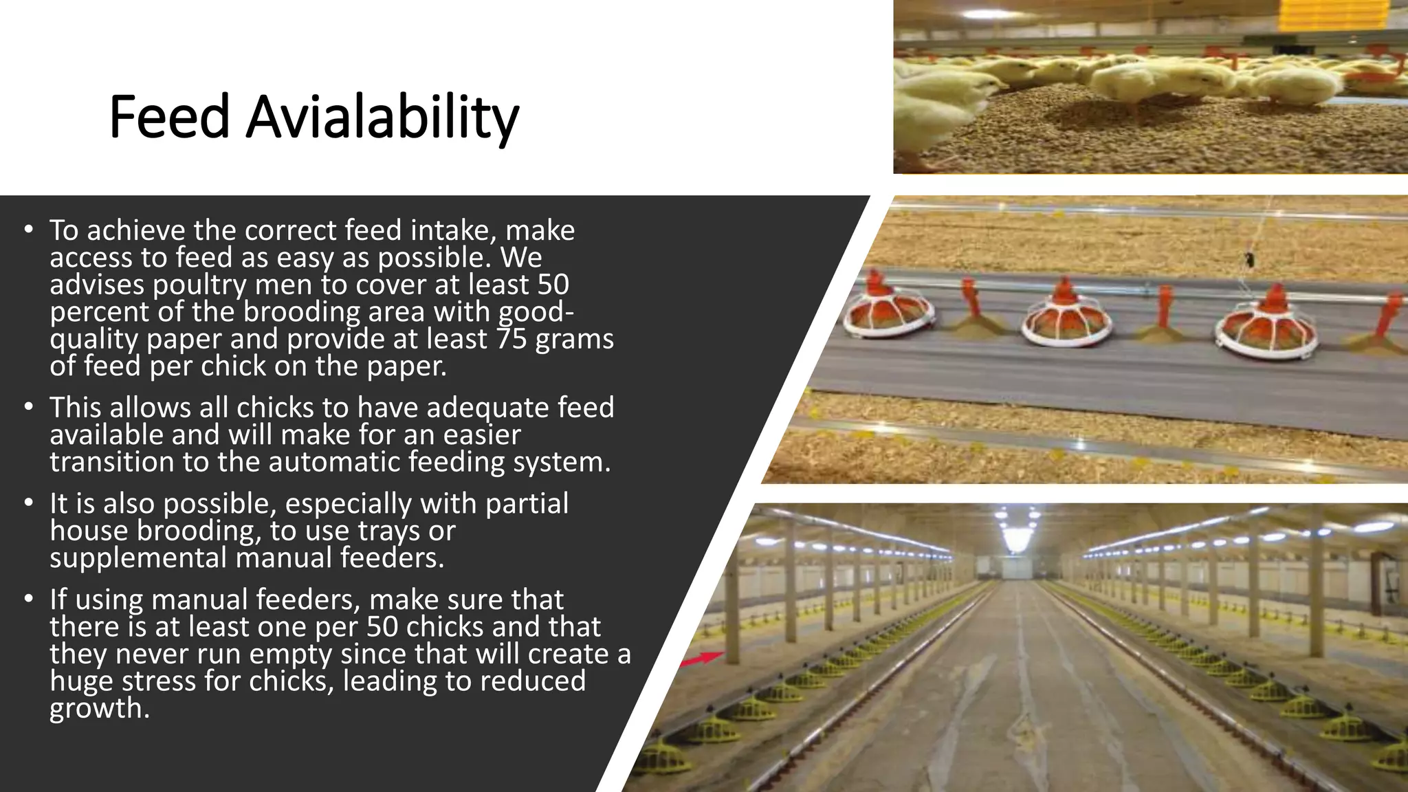 Broiler Brooding - 7day weight | PPTX