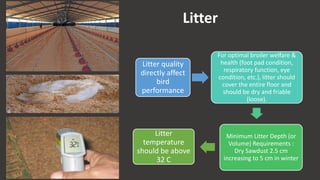 Broiler Brooding - 7day weight | PPTX