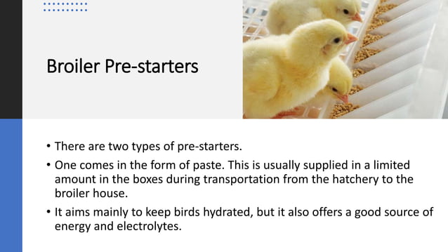 Broiler Brooding - 7day weight | PPTX | Nutrition | Healthy Living