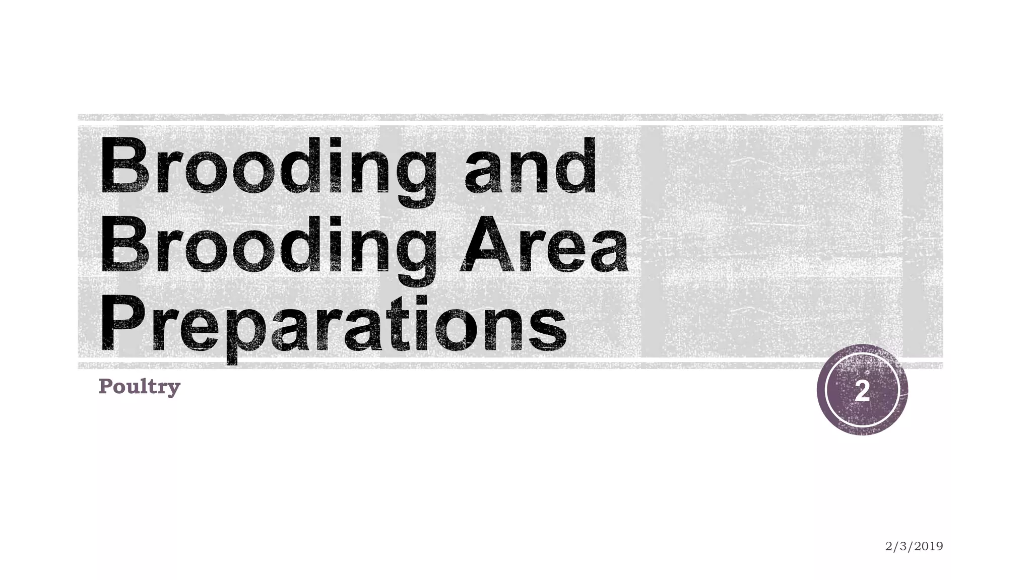 Brooding and brooding aea preparation | PPTX