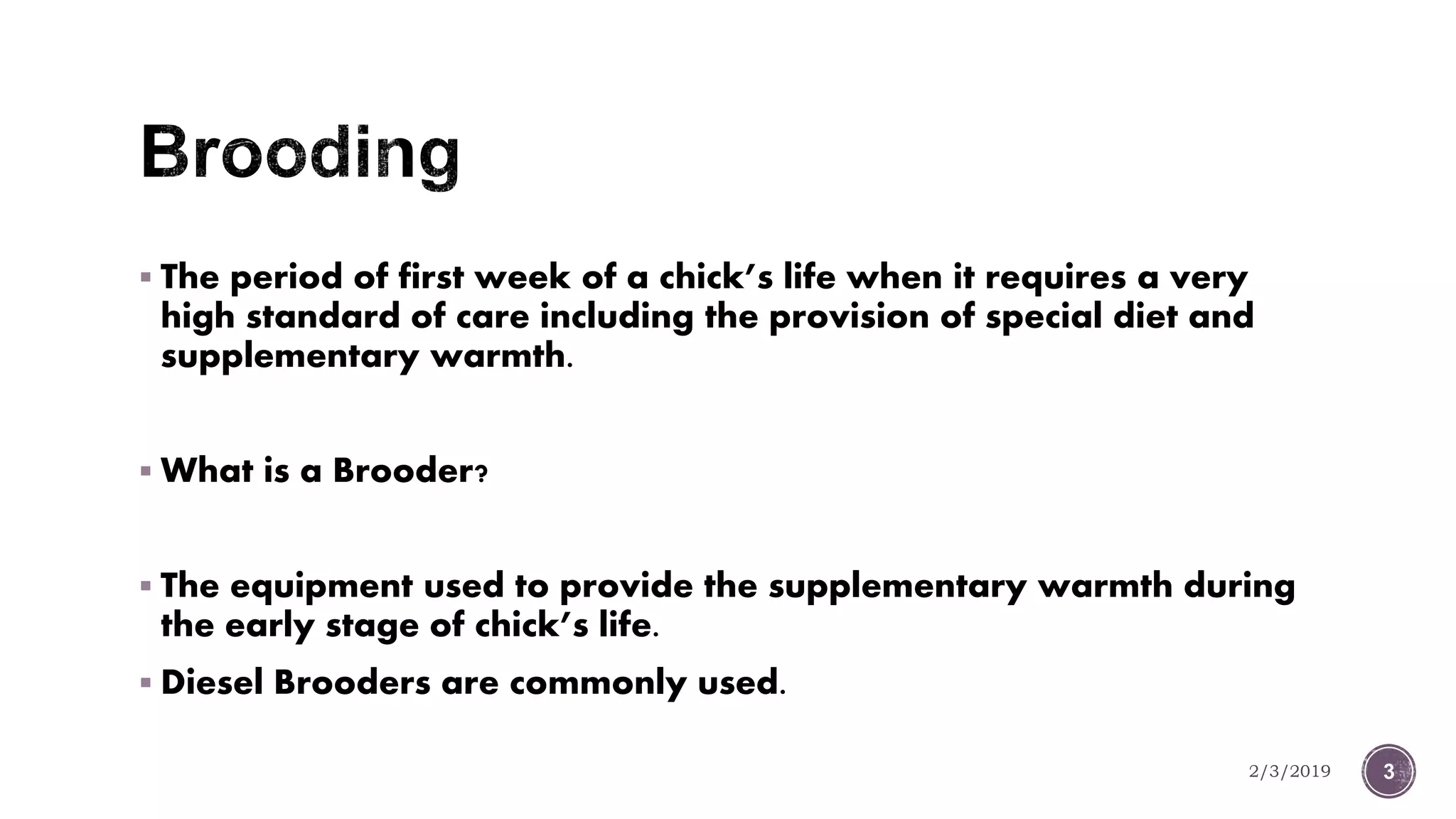 Brooding and brooding aea preparation | PPTX