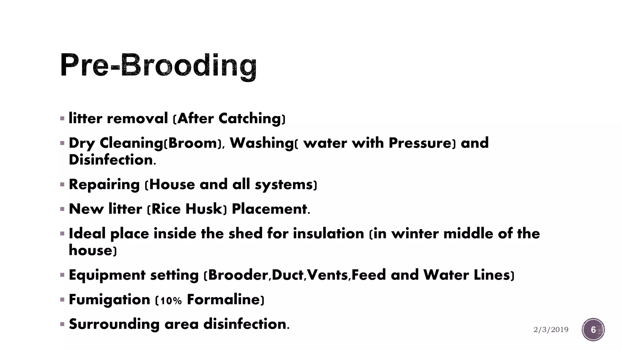 Brooding and brooding aea preparation | PPTX