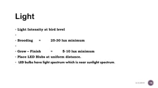 Brooding and brooding aea preparation | PPTX