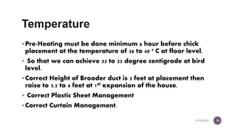 Brooding and brooding aea preparation | PPTX