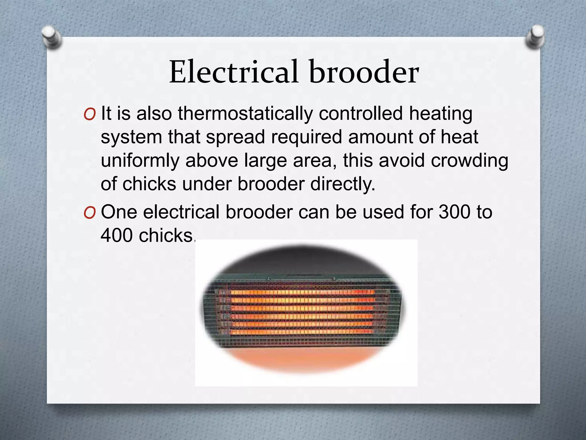 Brooding and management | PPTX