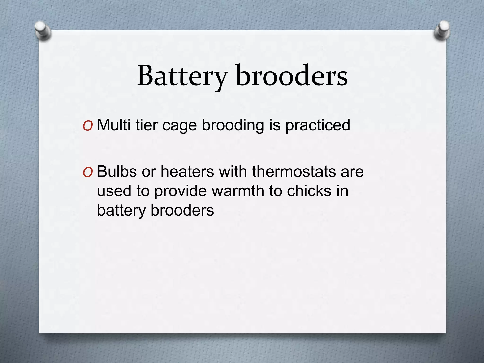 Brooding and management | PPTX