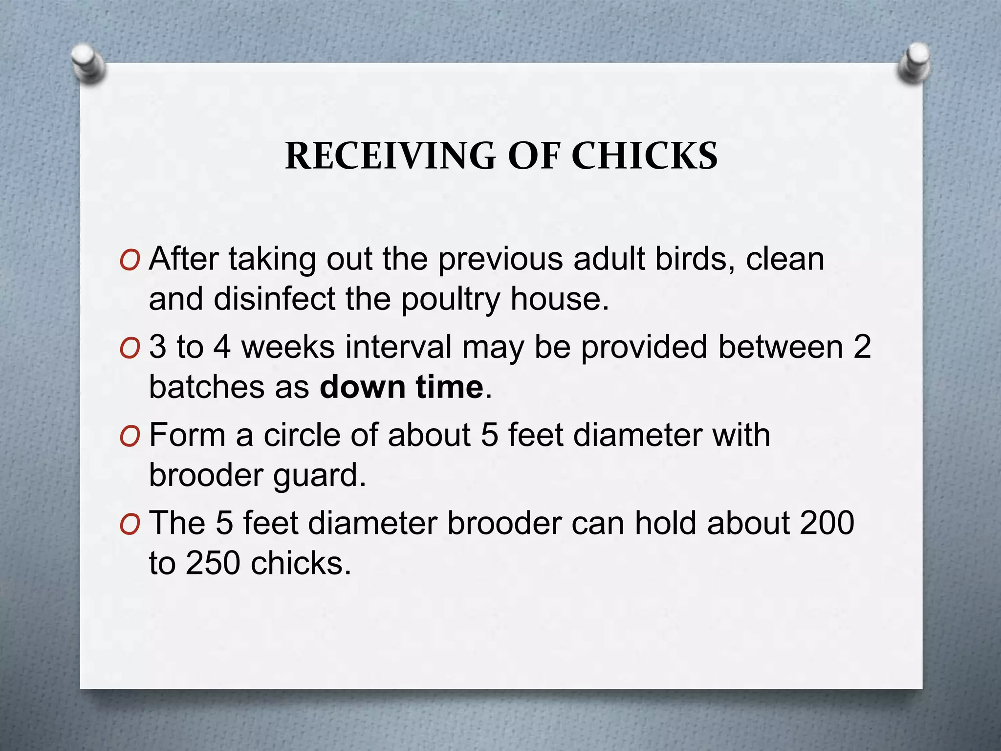 Brooding and management | PPTX