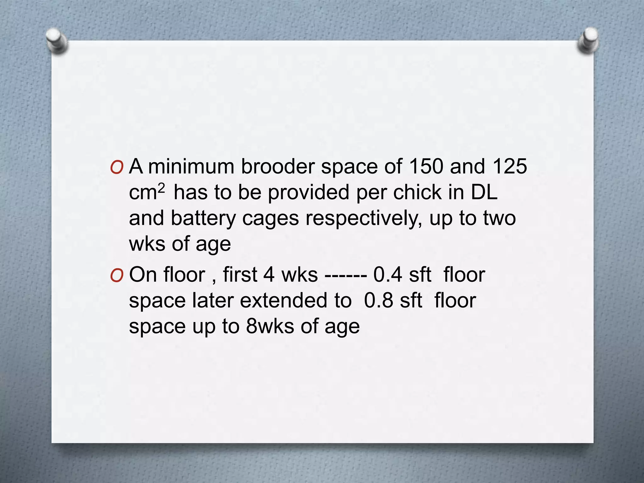 Brooding and management | PPTX