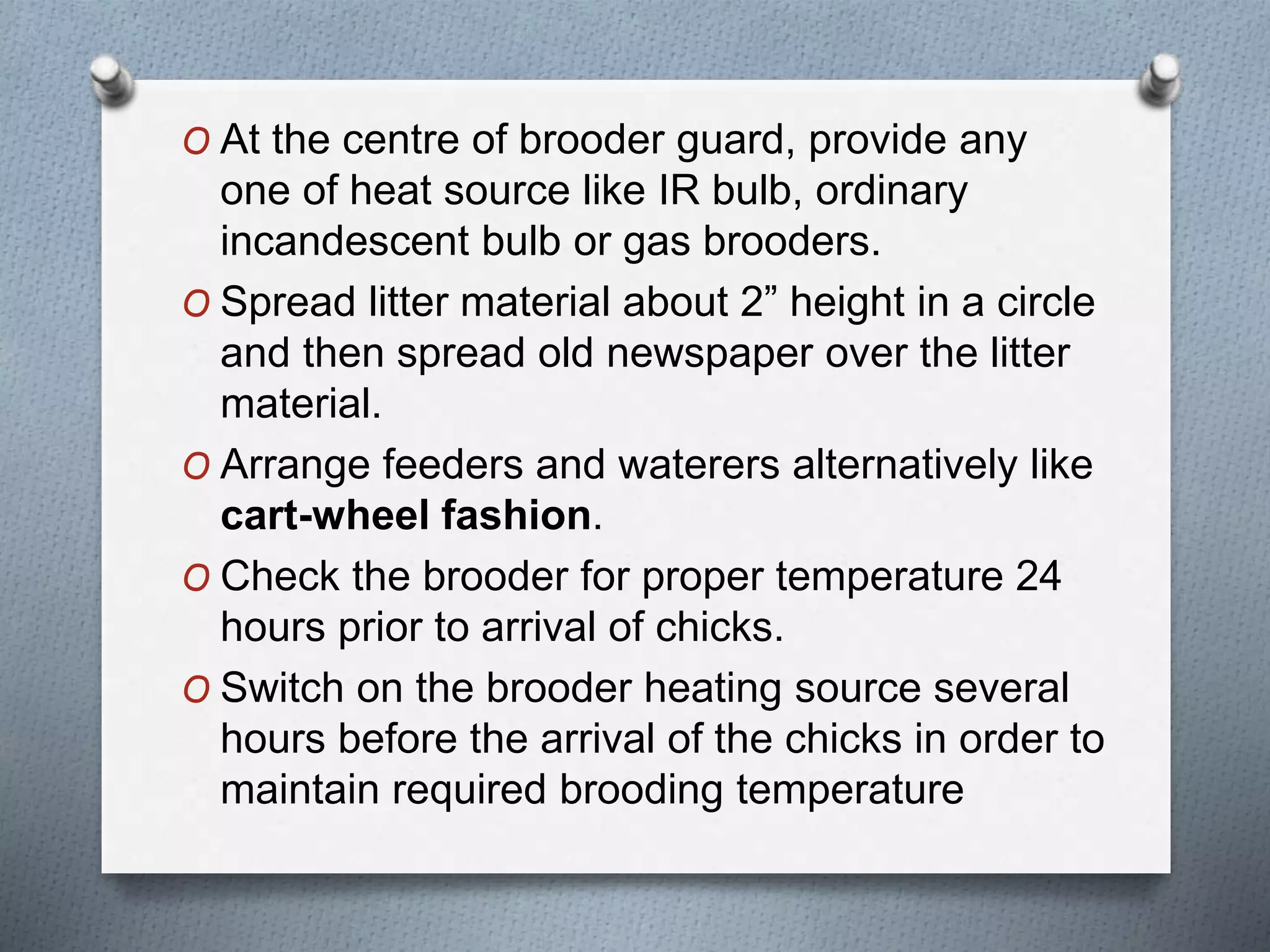 Brooding and management | PPTX