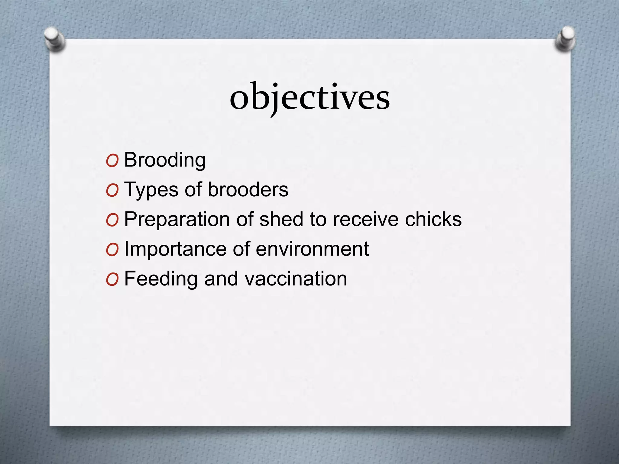 Brooding and management | PPTX