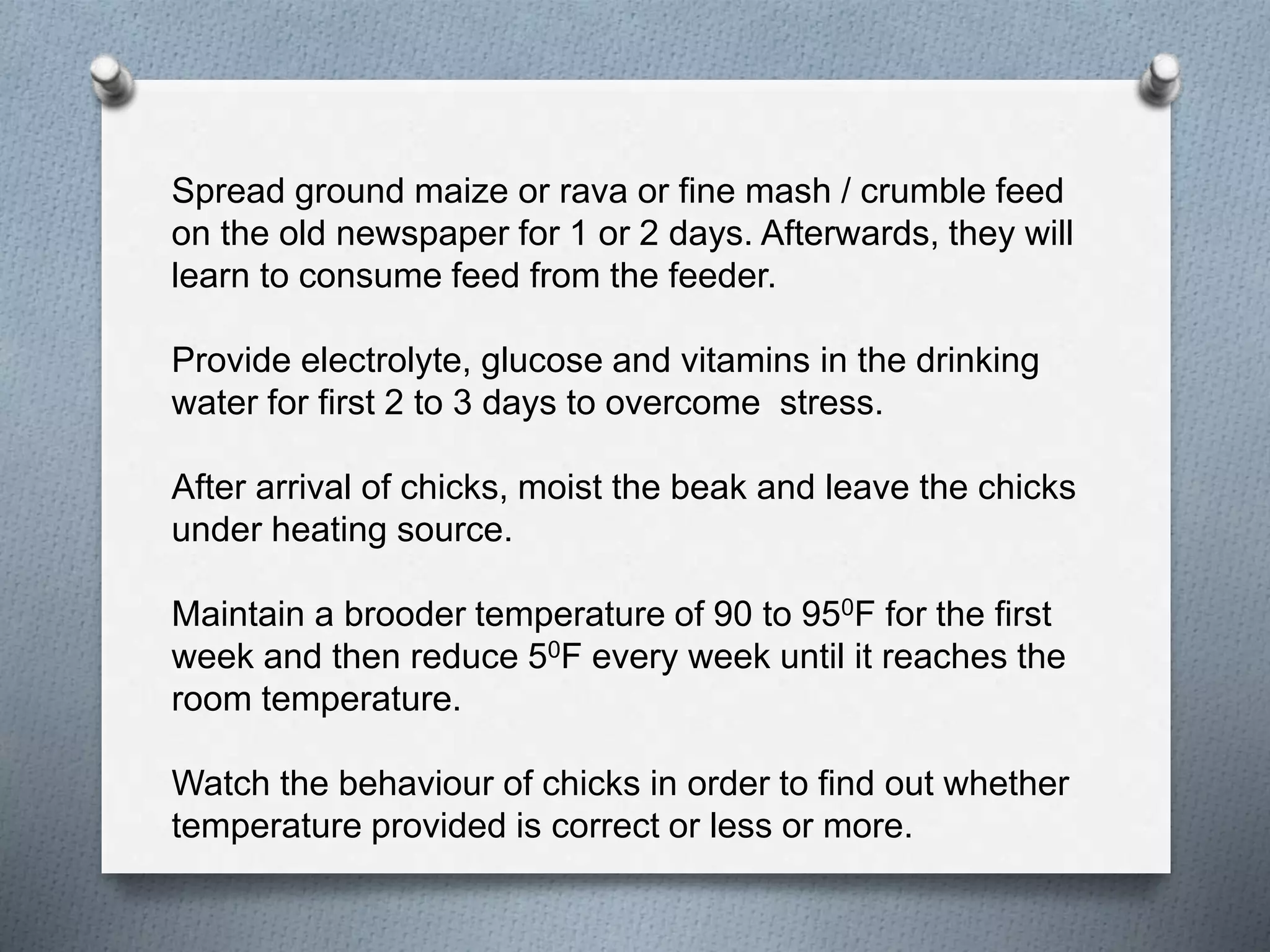 Brooding and management | PPTX