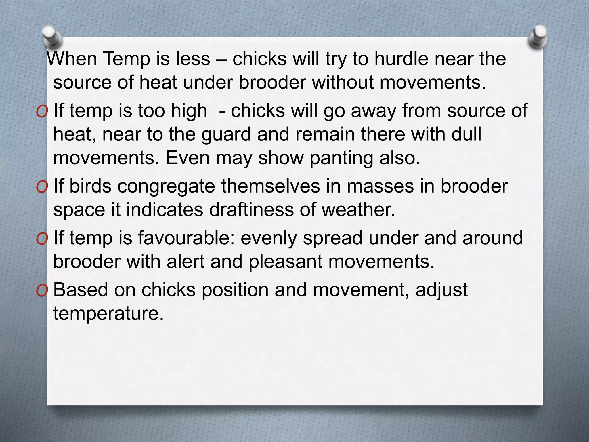 Brooding and management | PPTX