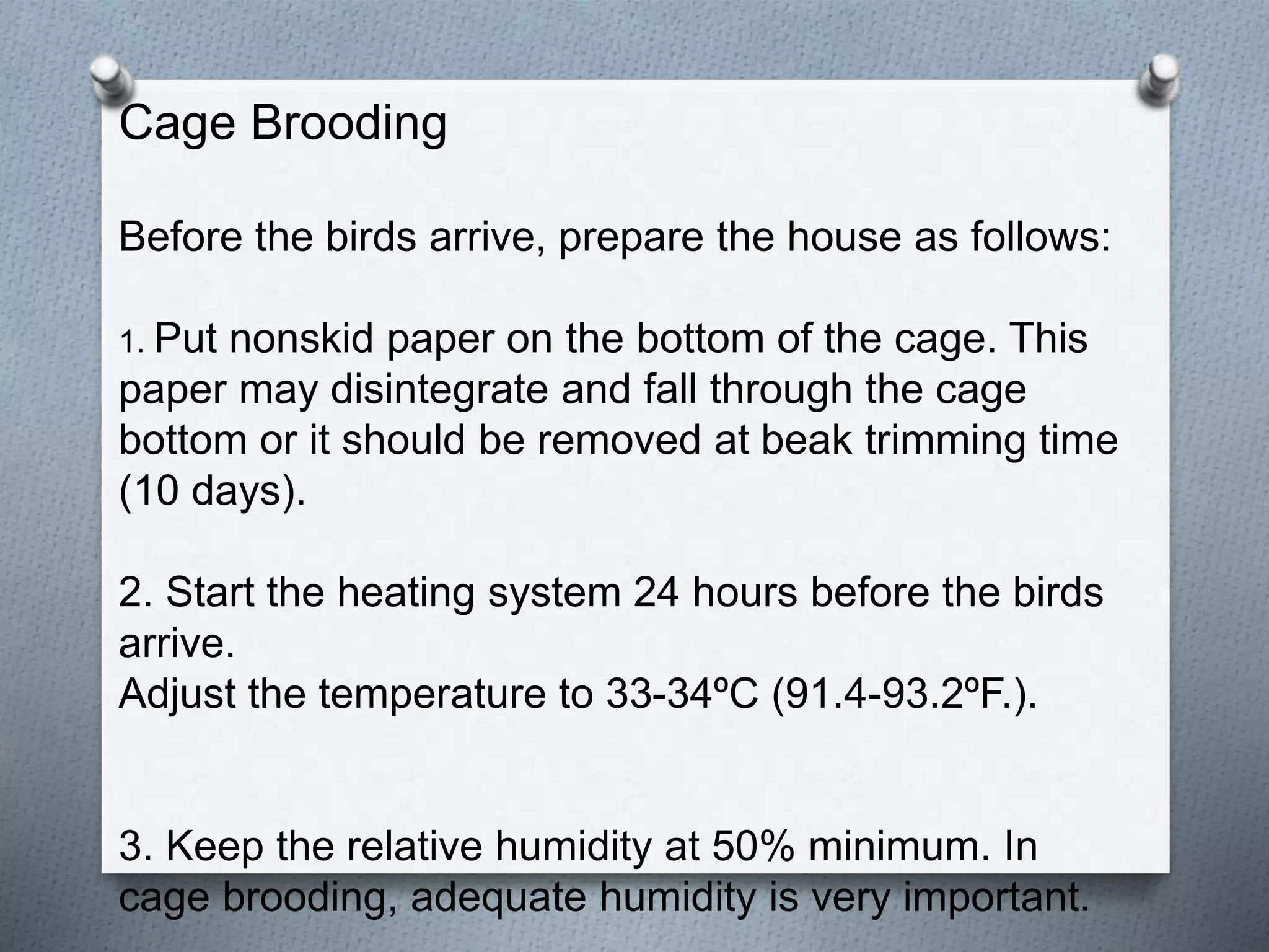 Brooding and management | PPTX