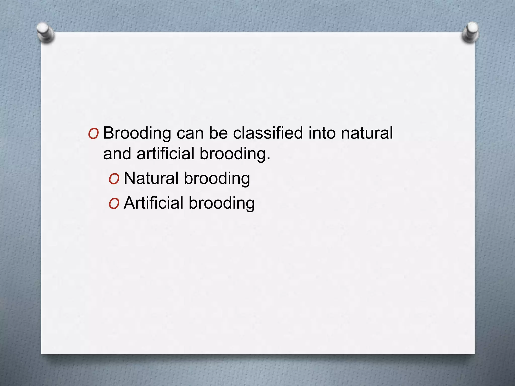 Brooding and management | PPTX