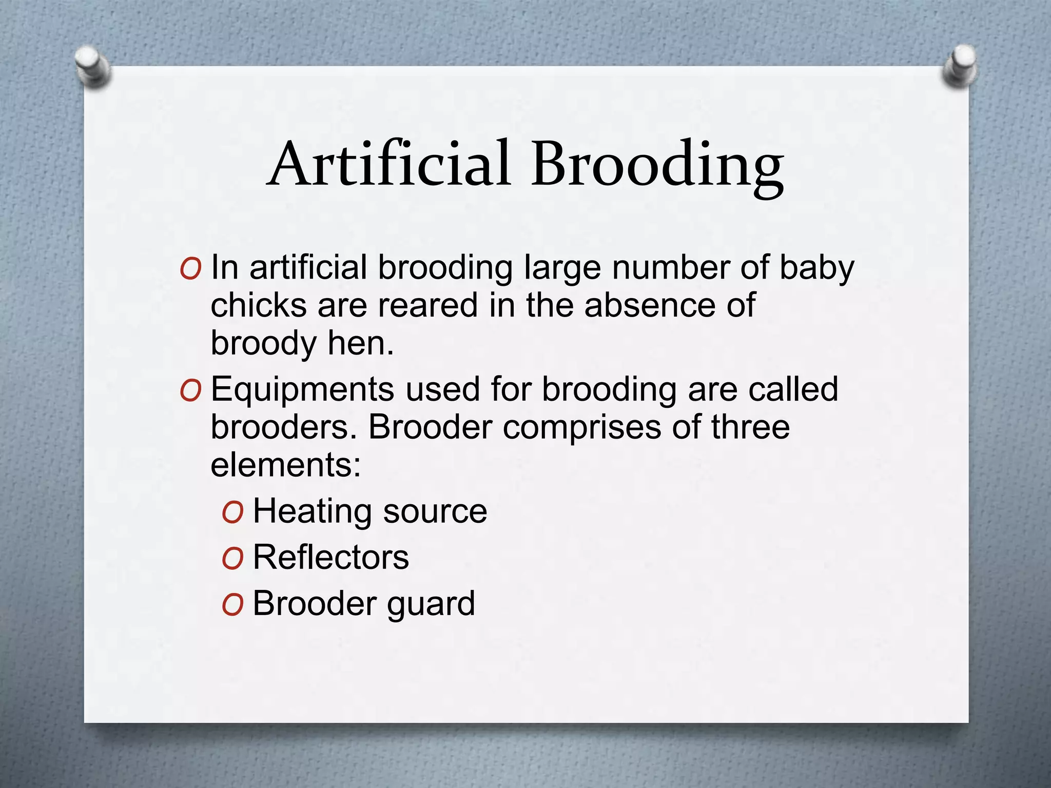 Brooding and management | PPTX