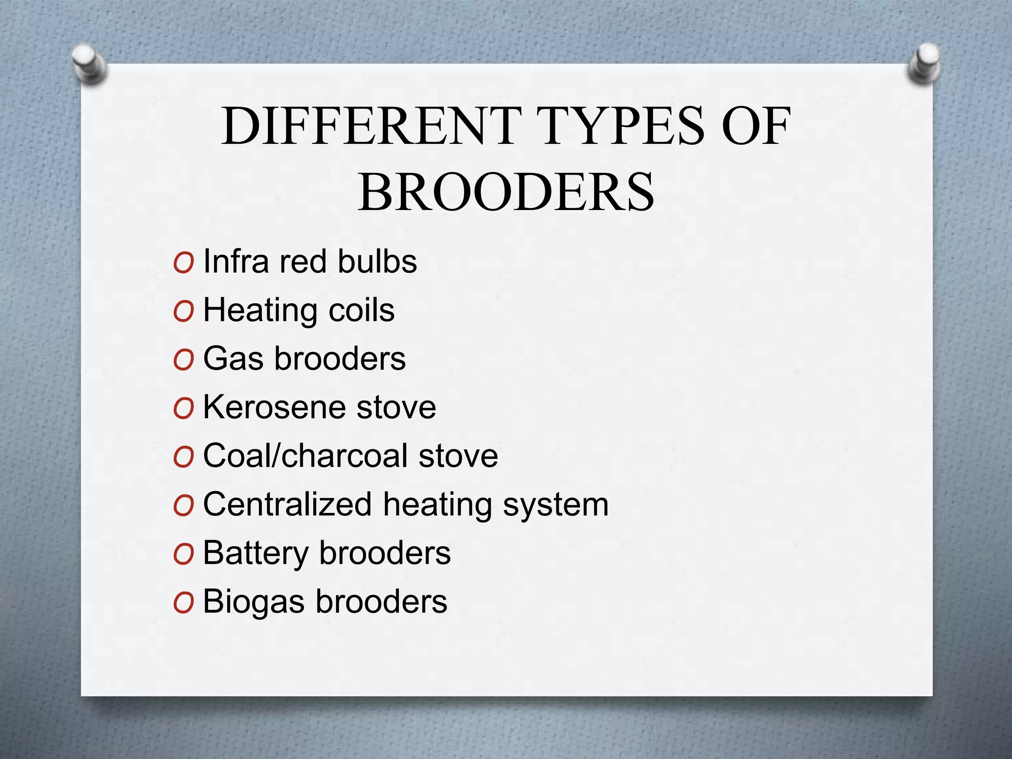 Brooding and management | PPTX