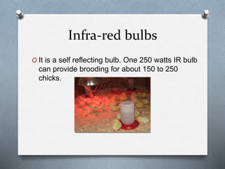 Brooding and management | PPTX