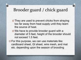 Brooding and management | PPTX