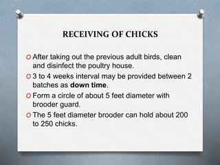 Brooding and management | PPTX