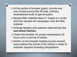 Brooding and management | PPTX