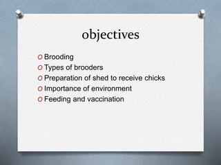 Brooding and management | PPTX