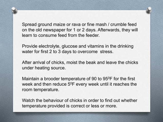 Brooding and management | PPTX