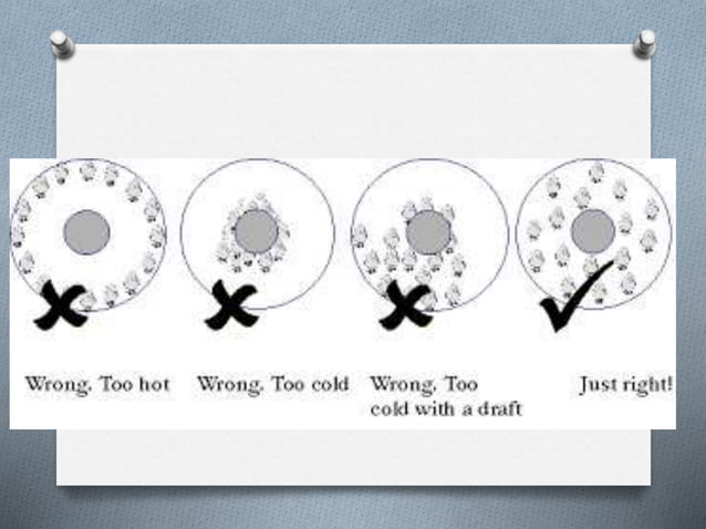 Brooding and management | PPTX