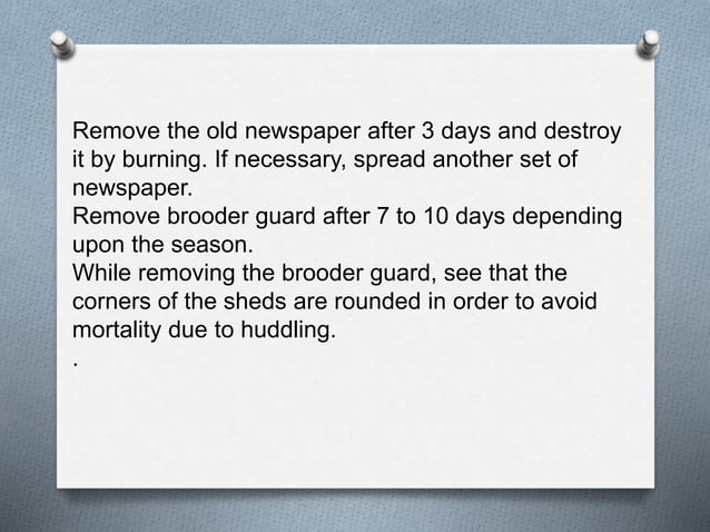 Brooding and management | PPTX