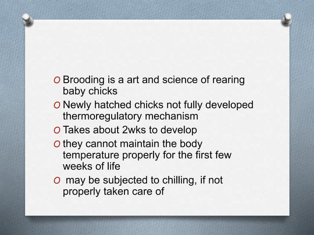 Brooding and management | PPTX