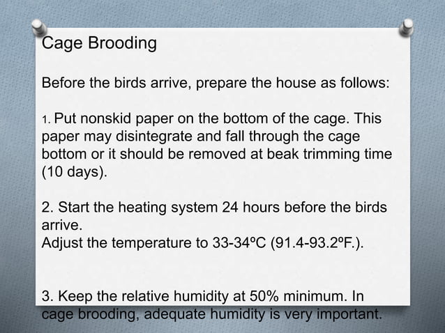 Brooding and management | PPTX