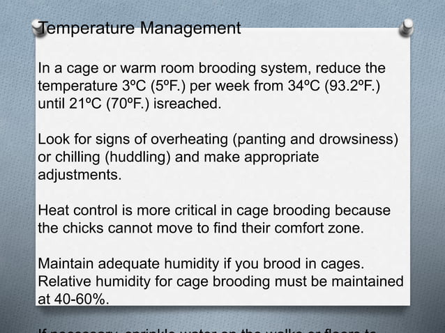 Brooding and management | PPTX