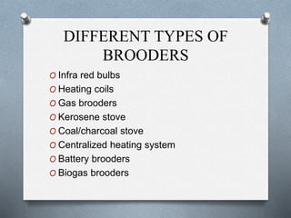 Brooding and management | PPTX