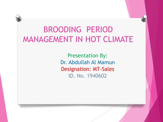 Brooding period management | PPTX | Infertility | Reproductive Health