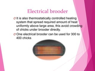 Brooding period management | PPTX