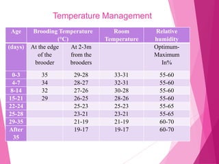 Brooding period management | PPTX