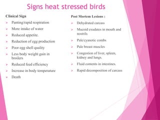 Brooding period management | PPTX