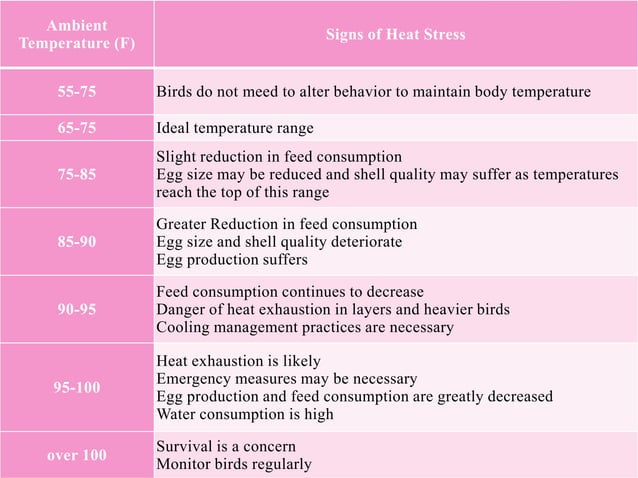 Brooding period management | PPTX | Infertility | Reproductive Health