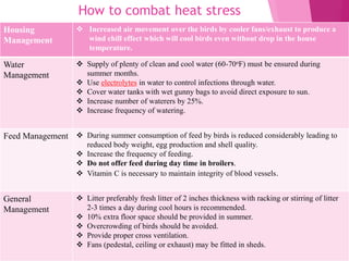 Brooding period management | PPTX